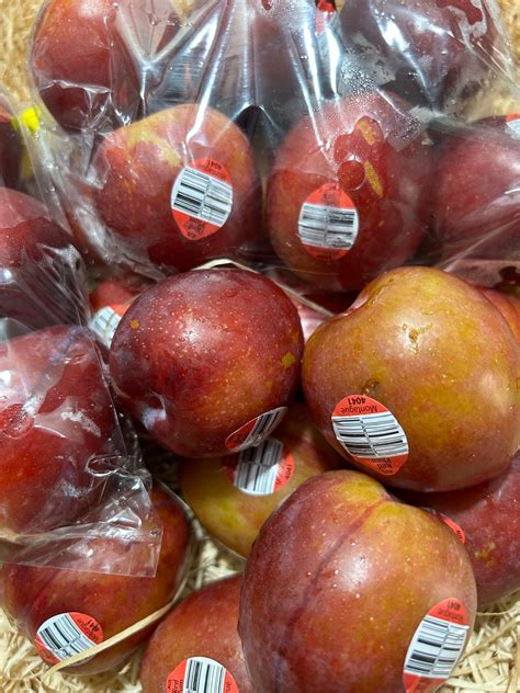 Aus Red Plumcots Set Of 6 Yolofruits