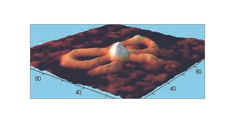 Direct Visualization Of The Ecorii−dna Triple Synaptic Complex By