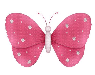 Pink Butterfly 