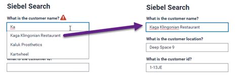 Javascript Extension Search Example Siebel Rest Api Intelligent Advisor It Consulting OÜ