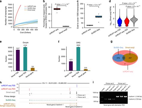 identification of novel transcripts and isoforms in single cells a the