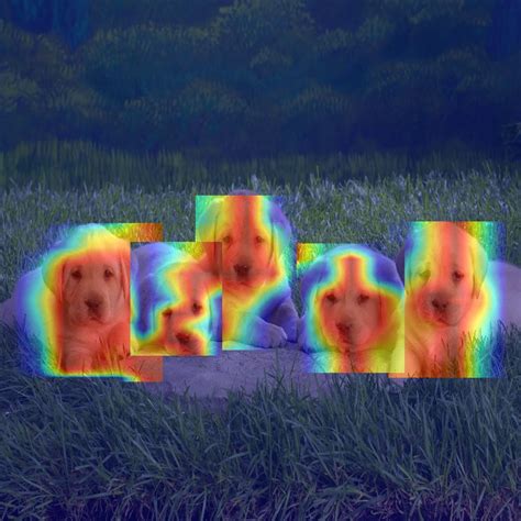 possibly inverted heatmaps for score cam for yolov5 · issue 364