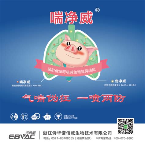 “诗华诺倍威”推荐阅读【猪场兽医】prrsv与pcv2双重感染引发副猪嗜血杆菌感染病例的诊断
