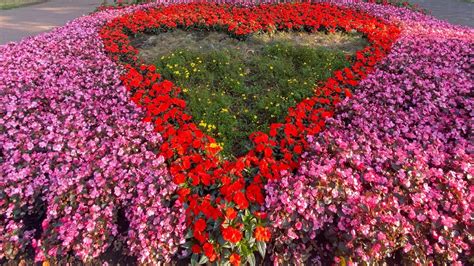 🇬🇪lalebi ლალები🇬🇪 ქართული საქეიფო სიმღერა Youtube