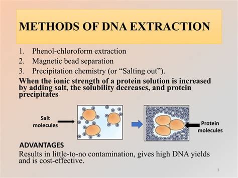 Dna Extraction From Whole Blood Pptx