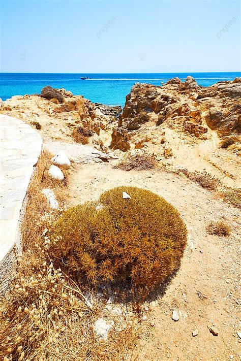 그리스 미코노스 섬 바위 바다와 해변 사진 배경 및 무료 다운로드를위한 그림 Pngtree