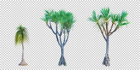 Premium Psd 3d Rendering Tree Isolated Cut Background