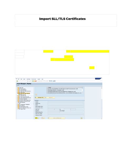 ssl pdf transport layer security public key certificate