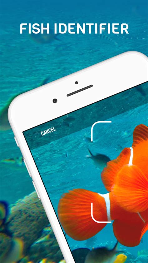 Fish Identifier Fish Verify Per Iphone Download