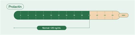 Understanding Male Hormones — Guide To Male Hormones