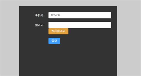 vue3问题：如何实现短信验证码登录？前后端！ vue登录功能的实现流程详解 csdn博客