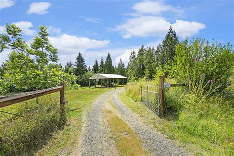 Ellie Renne Ellie Renne Realtor Renne Real Estate