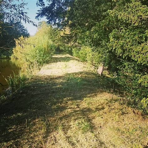 Mini Digger Flails Are They Worth It Page 5 Large Equipment