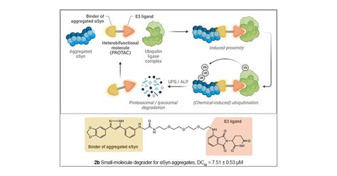 Discovery Of Small Molecule Degraders For Alpha Synuclein Aggregates