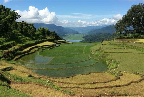 Benefits Of Agricultural Biodiversity