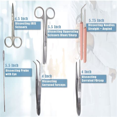 Dissecting Probe