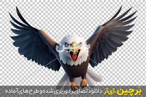 خرید و قیمت دانلود عکس کارتونی عقاب سرسفید ترب