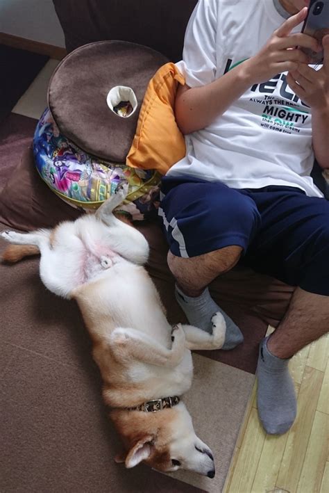 休日 Ffc倶楽部part2