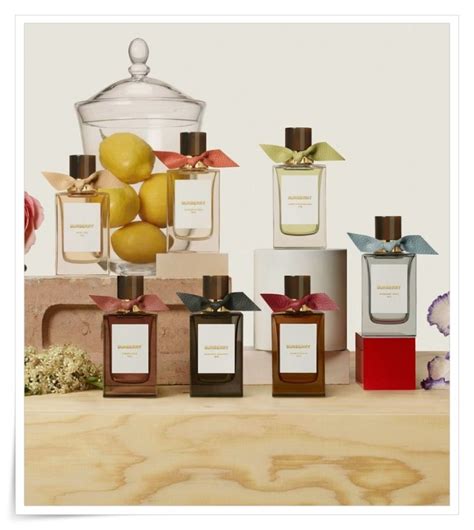 남자 여자 시원한 여름 명품 향수 추천 버버리 겐조 불가리 네이버 블로그