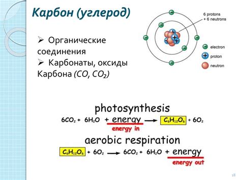 Строение атома Атомные орбитали Типы связей Основные органогенные элементы их роль