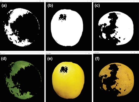 5 Background Separation Of Input Citrus Fruit A Masking Of Premature Download Scientific