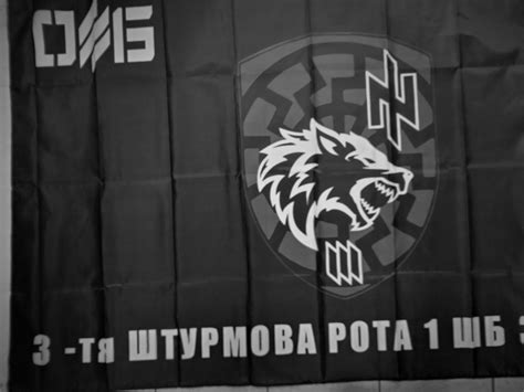 3rd Iii Separate Assault Brigade Wolf Flag Banner Buypatchnet