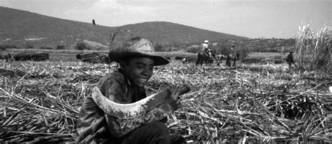 42 ¿y Todo Es De Azúcar El Arte Del Azúcar En Las Manos De Marithé De