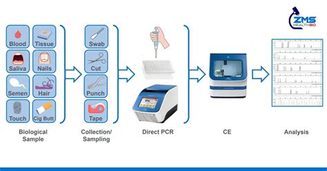 What Lab Equipment Was Used During Dna Profiling