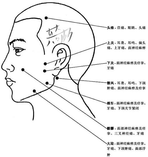 面部穴位正面圖側面圖 每日頭條