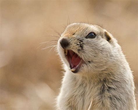 The Folder Structure Of Macos Everything You Need To Know By Ali Azizjahan Medium