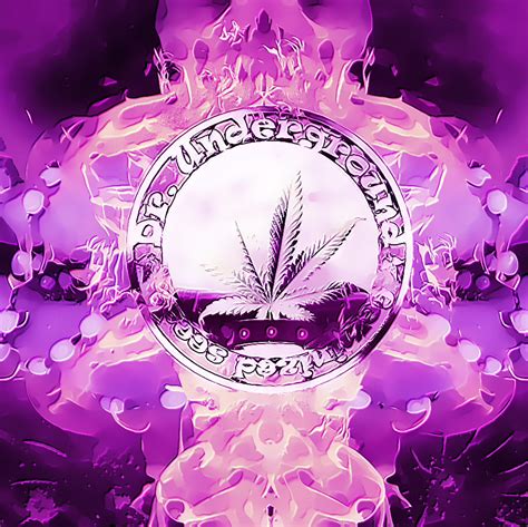 Auto Crystal Meth Dr Underground