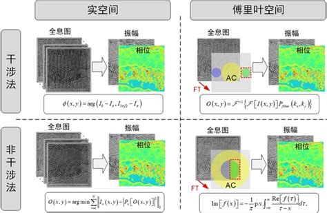基于全息术的定量相位成像趋势和展望论文科学网