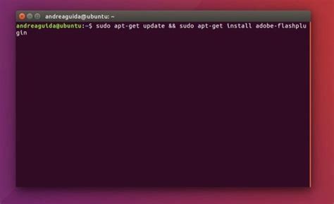 How To Install Adobe Flash Player In Ubuntu Luliram