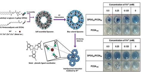 Microplastics Encyclopedia Mdpi