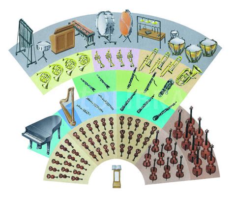 Orchestra Layout
