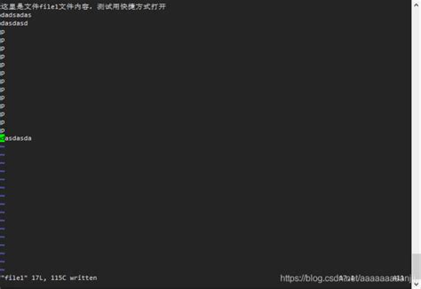 liunx vim文本编辑器满满细节 阿里云开发者社区