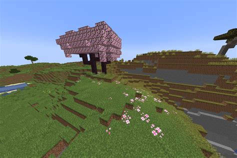 Smallest Cherry Blossom Biome R Minecraft