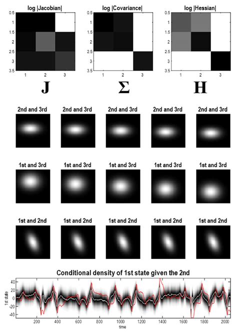 Nonequilibrium Steady State Density Upper Panel These Images Report