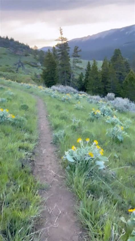 Using Garmin Connect AutoSync With Your Training Peaks Strava Accounts Mountain Peak Fitness