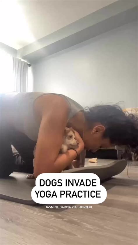 Karen Read Retrial Live Karen Read Retrial Underway Bitly3z7yimx By Abc 7 Chicago