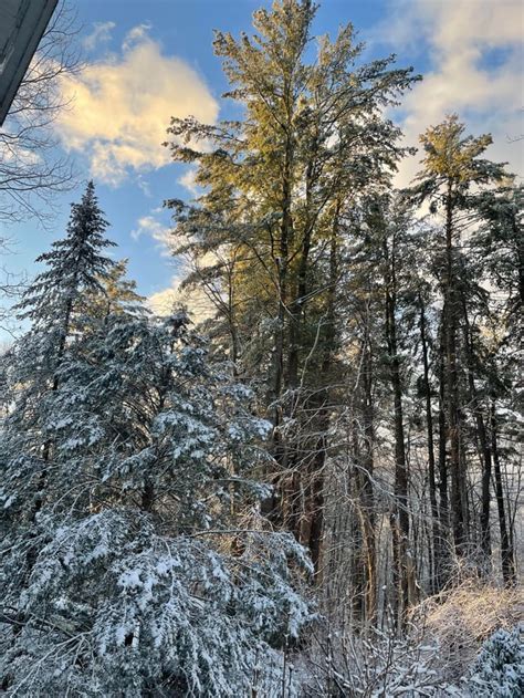 A Few Years Ago I Made A State Park Map Because The One On Mass Dcrs