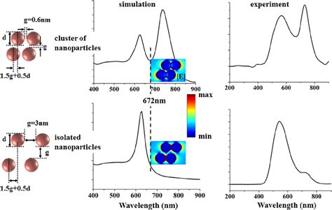 The Simulated Extinction Cross Section Left And Experimental Download Scientific Diagram