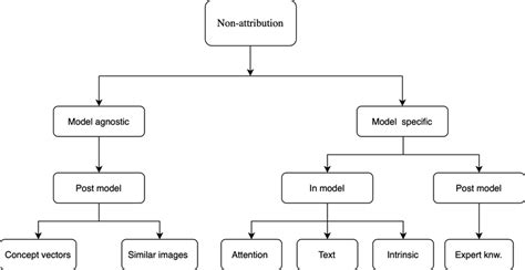 Classification Of Explainability Methods That Are Not Attribution Based