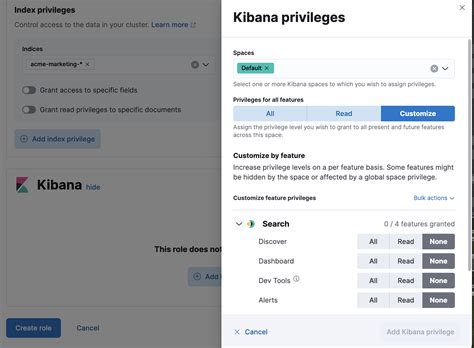 Custom Roles Serverless Elastic