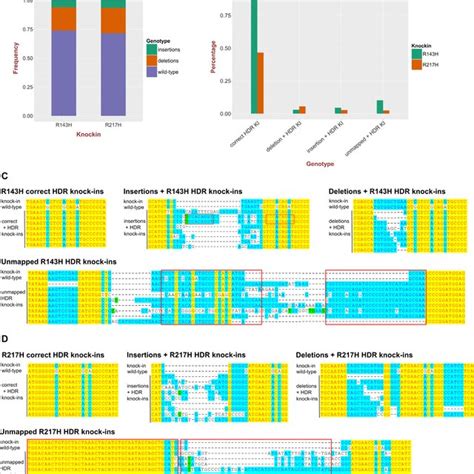 High Throughput Sequencing Analysis Of Point Mutation Knock Ins Into Download Scientific