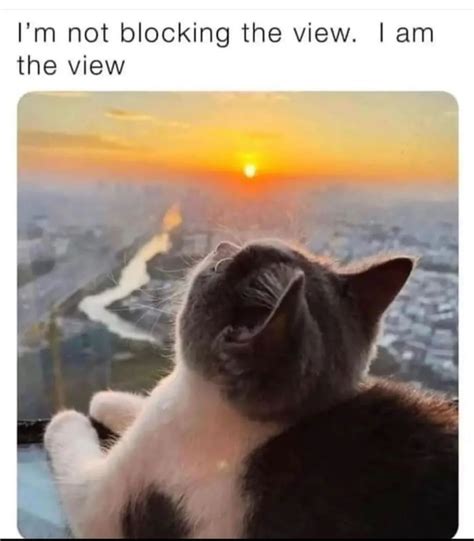 Nice 9gag Nice 9gag