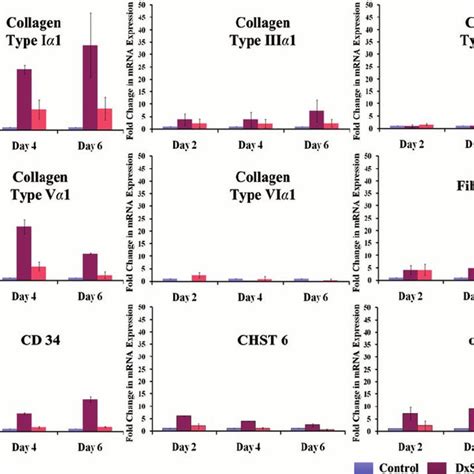 Mmc Enhanced Ecm Deposition In The Cell Layer Of Hcfs Icc Analysis Download Scientific Diagram
