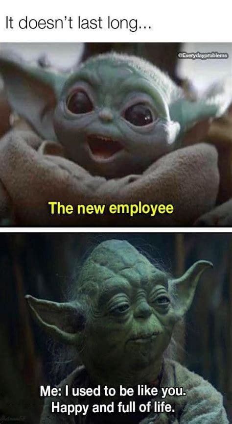 Vet Tech Humor Rwildliferehabberhumor