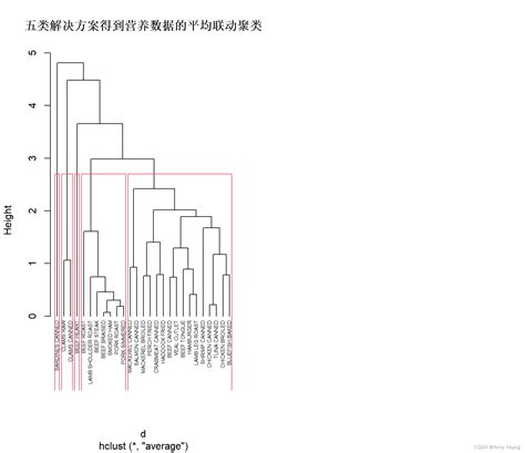 R语言实战 第十六章 聚类分析聚类分析r语言代码 Csdn博客