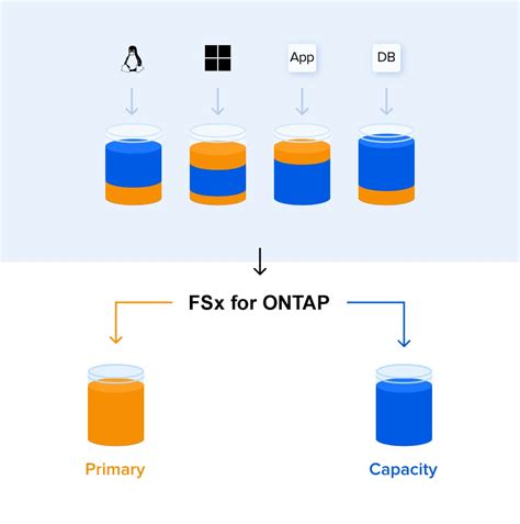 Reduce Costs And Increase Efficiency With Fsx For Ontap Netapp
